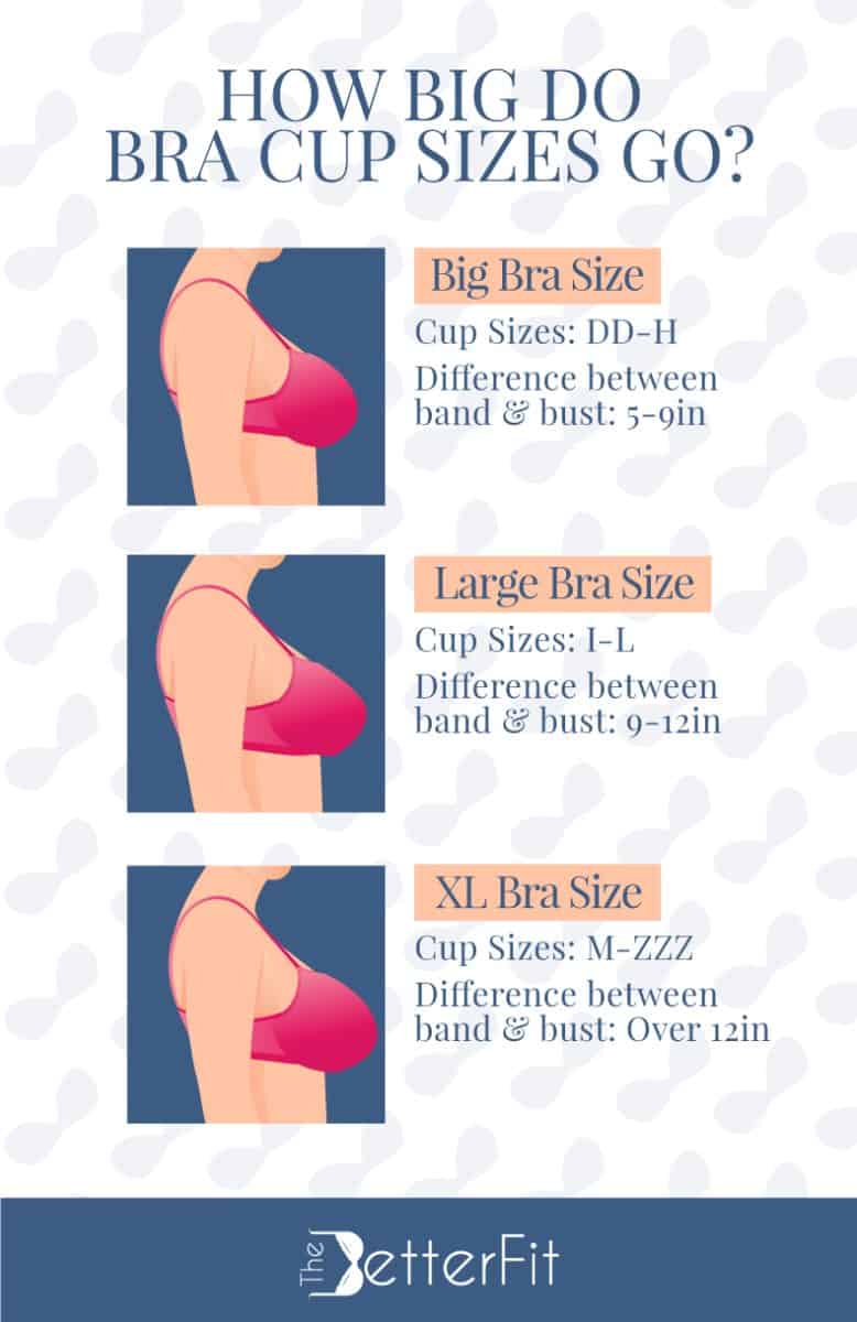 What Is The Biggest Bra Cup Size TheBetterFit