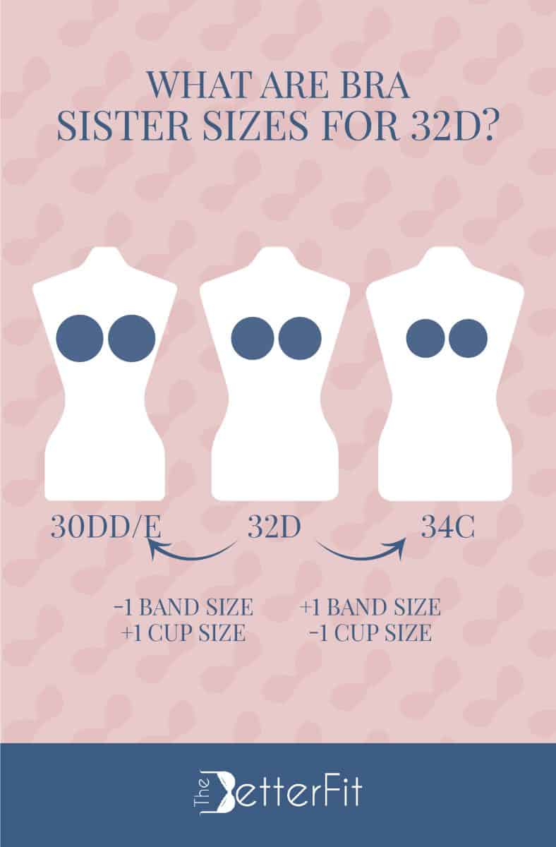 How Big Is A 32D Bra Cup Size TheBetterFit