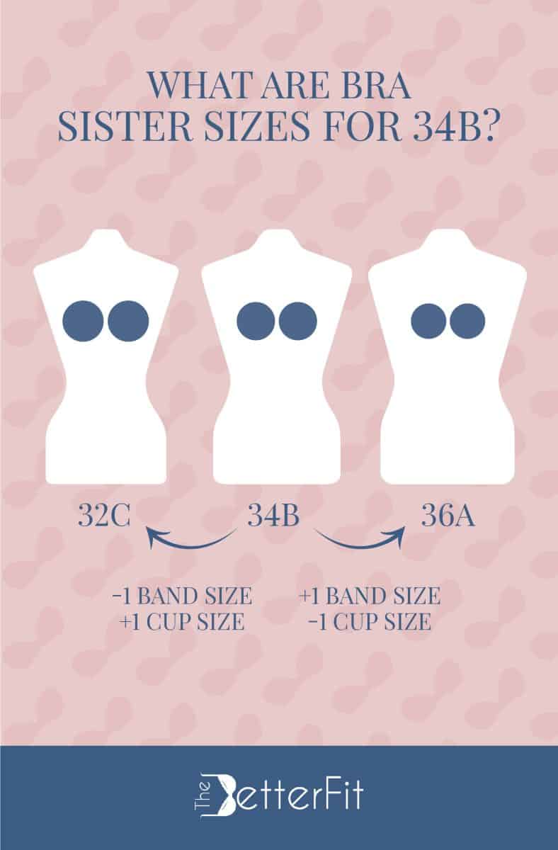 How Big Is A 34B Bra Cup Size TheBetterFit