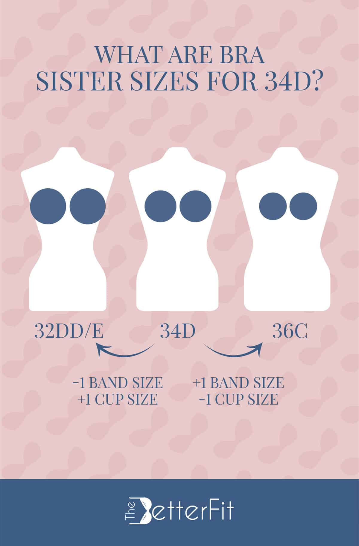 How Big Is A 34D Bra Cup Size TheBetterFit