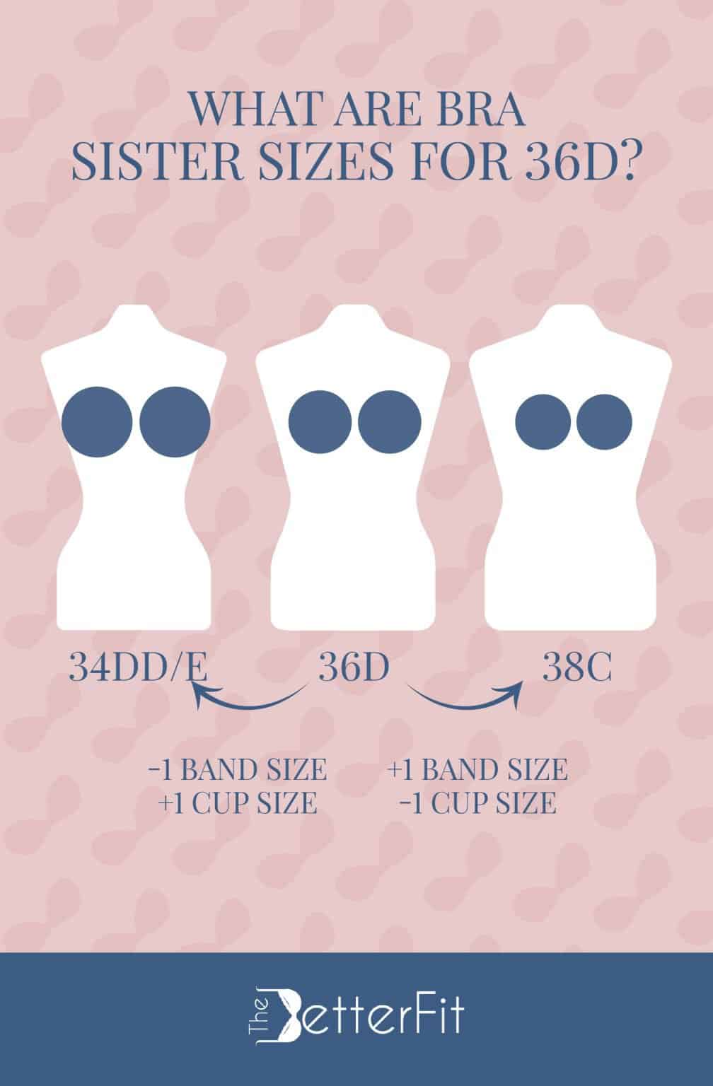 How Big Is a 36D Bra Cup Size? | TheBetterFit
