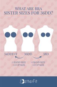 How Big is a 36DD Bra Cup Size? | TheBetterFit