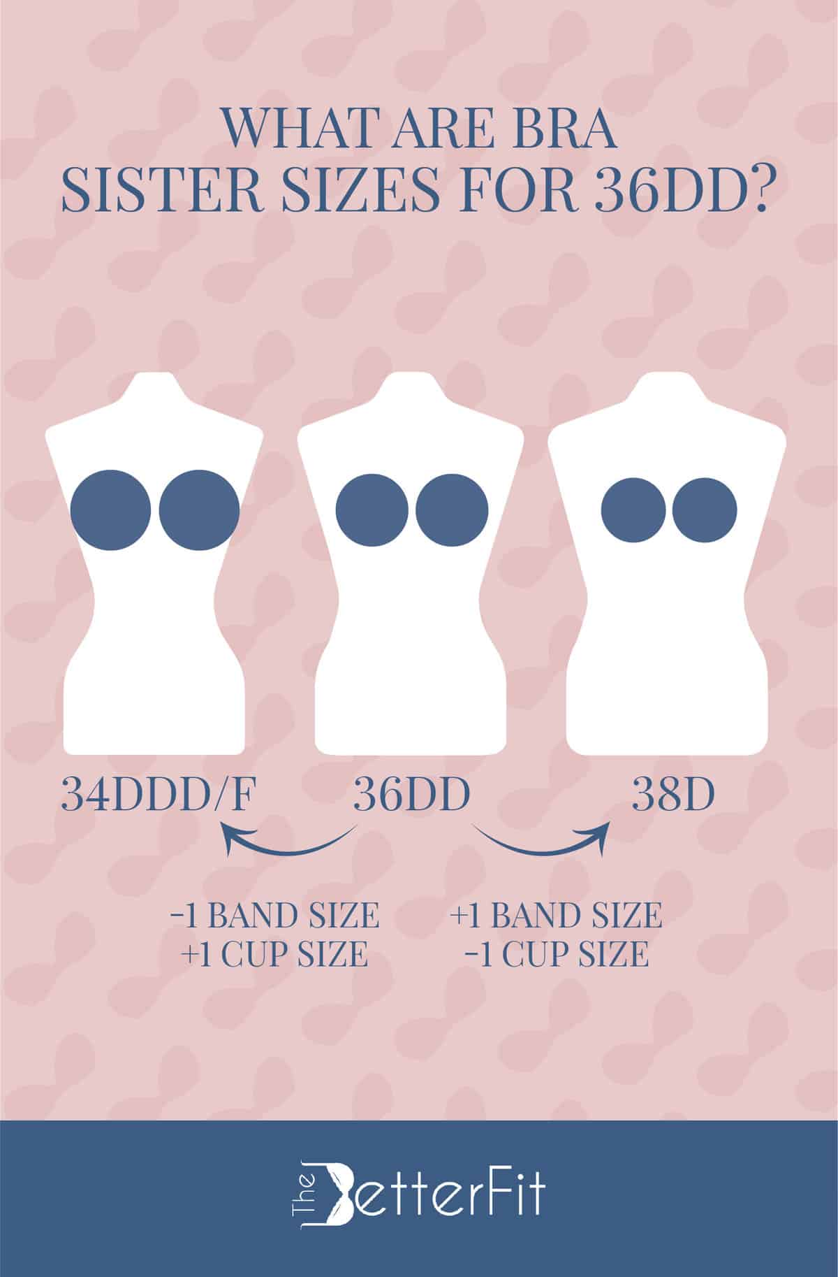 How Big is a 36DD Bra Cup Size? | TheBetterFit
