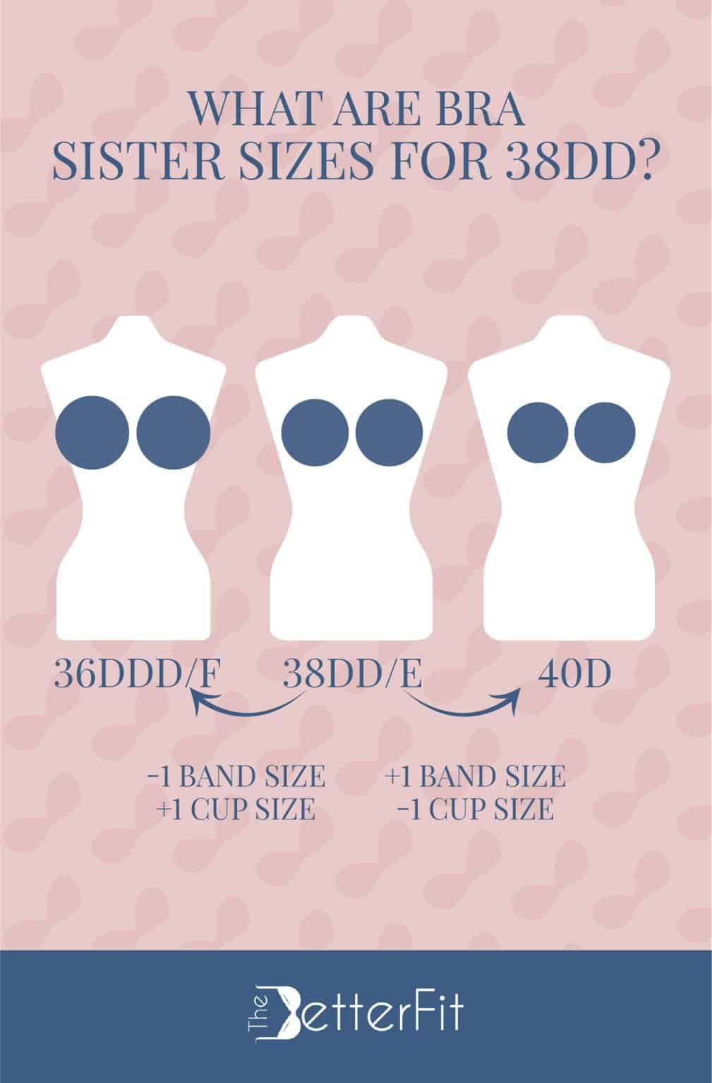 How Big Is a 38DD Bra Cup Size? | TheBetterFit