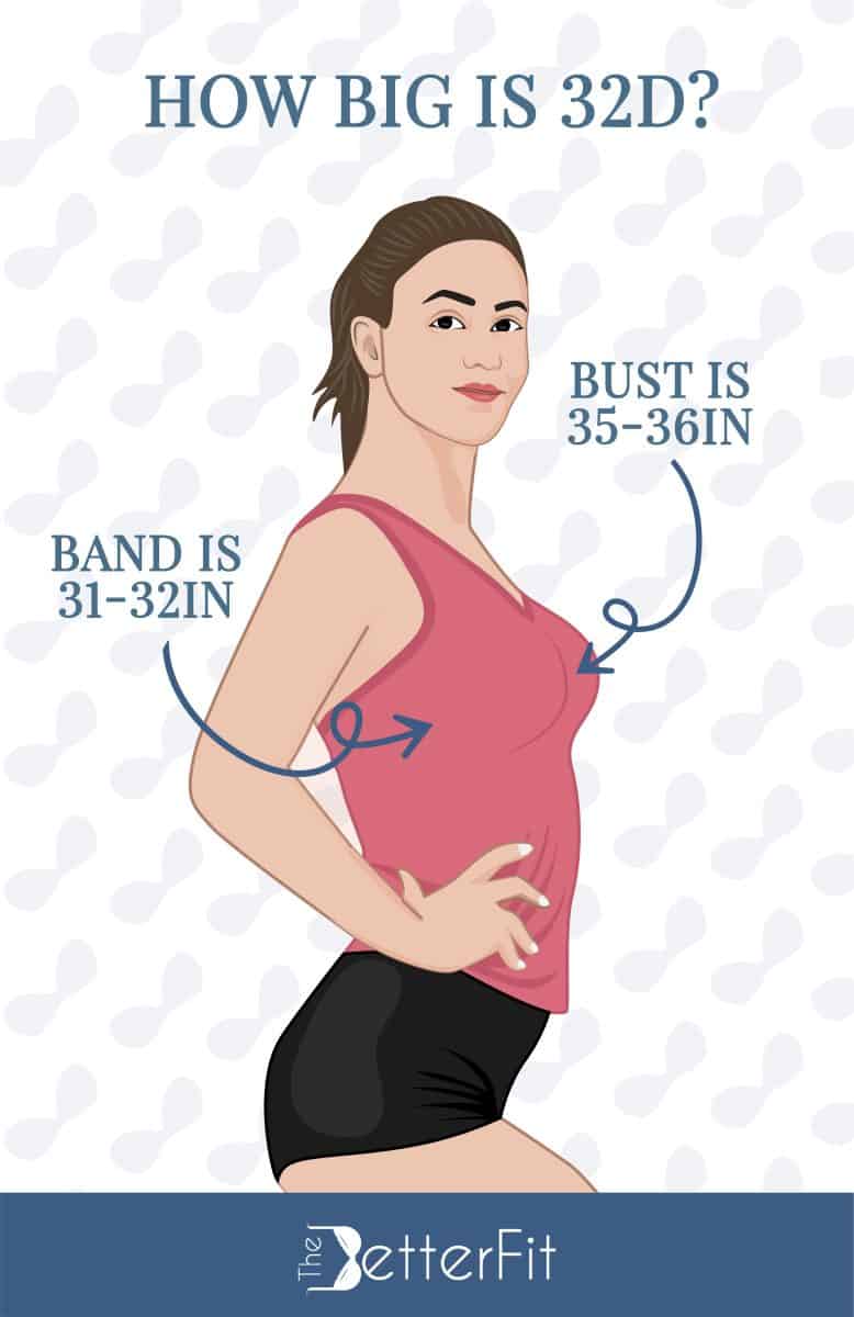 How Big Is A 32D Bra Cup Size TheBetterFit