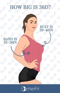 How Big Is a 36D Bra Cup Size? | TheBetterFit
